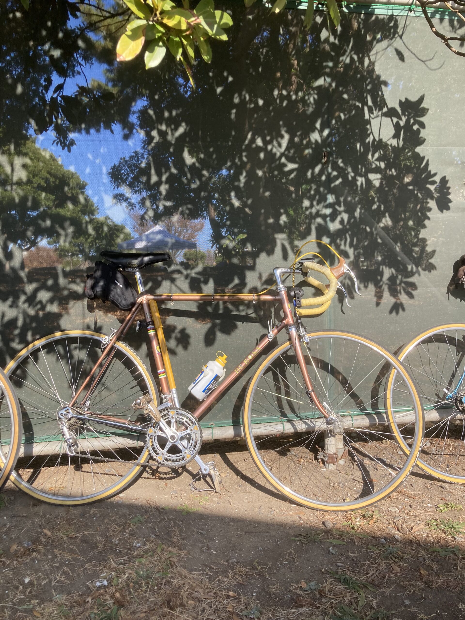 Club DE ROSA Classiche Giappone | 未分類 DE ROSA 70周年記念ライド - Club DE ROSA ...